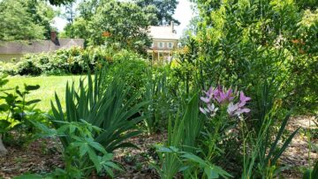Plan Your Visit - Guided Tours - Historic Locust Grove