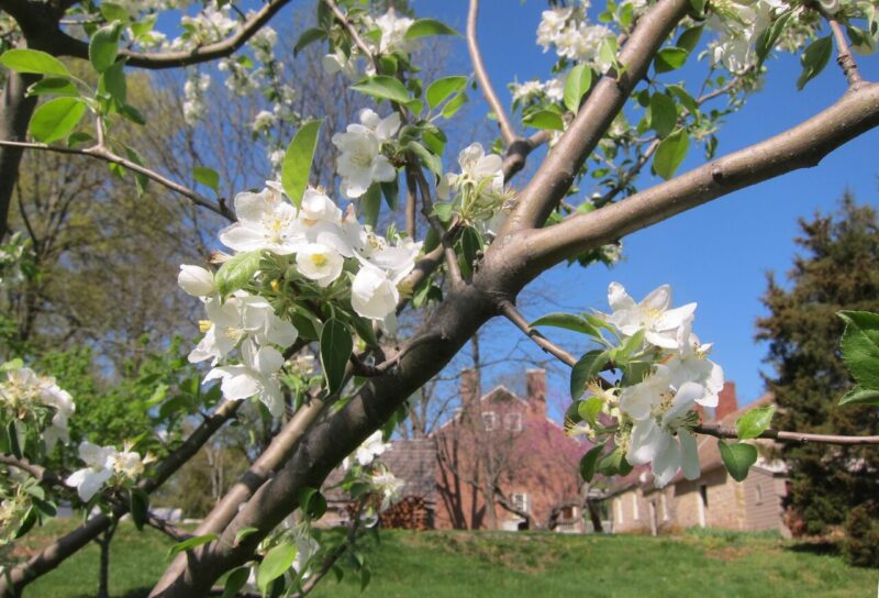 Places - Landmarks - Historic Locust Grove